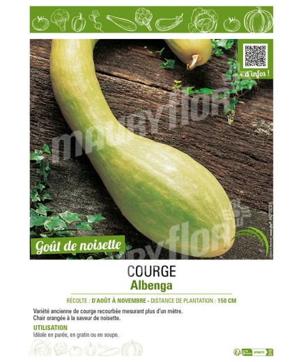 LIGUSTRUM OVALIFOLIUM 'AUREUM' voir Troène de Californie doré