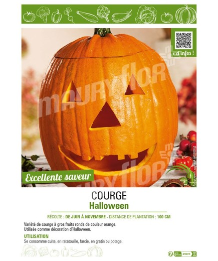 NERIUM OLEANDER (ROUGE) voir Laurier-rose simple