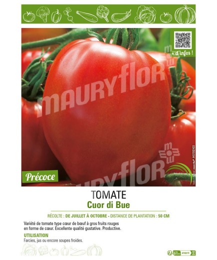 GLEDITSIA TRIACANTHOS voir FÉVIER D'AMÉRIQUE