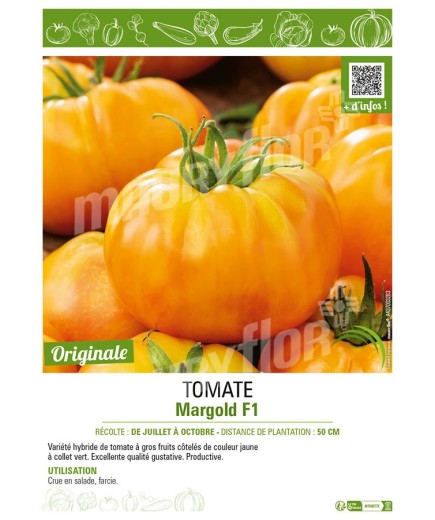 COGNASSIER GÉANT DE VRANJA